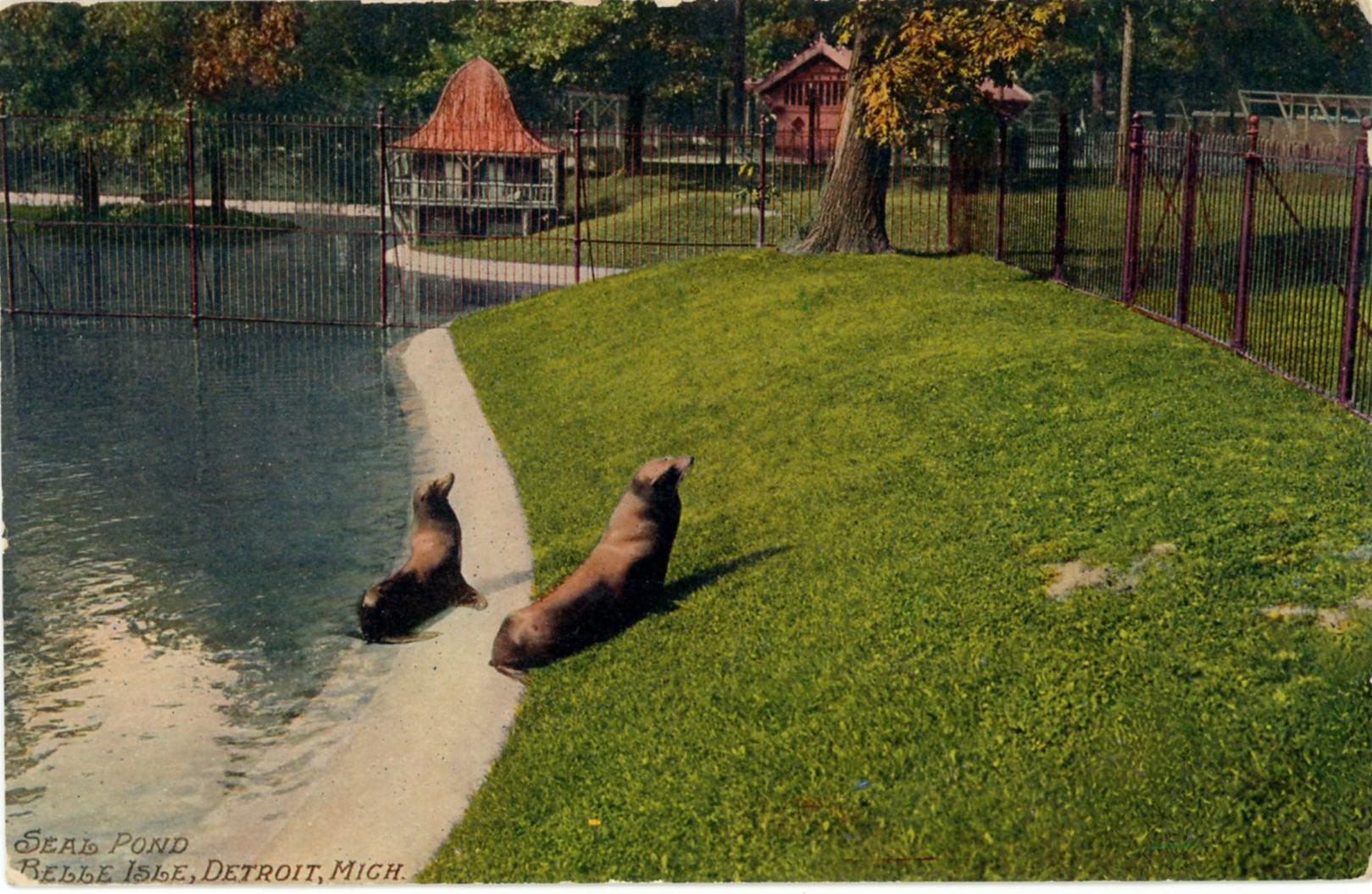 Belle Isle Zoo – Historic Belle Isle Park, Detroit, Michigan